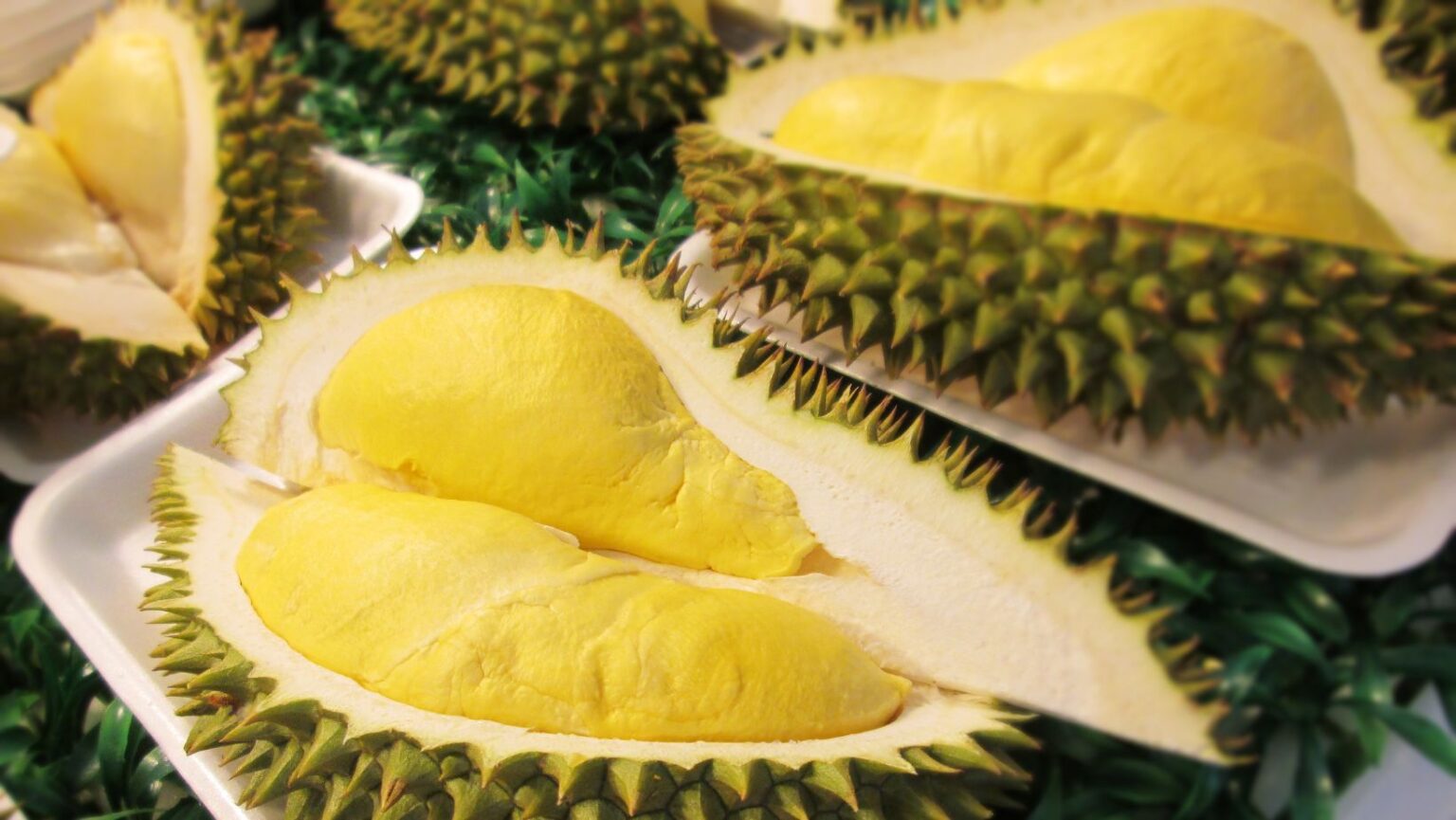 Indo Thai News | Amazing Facts to Know About Durian Fruit – The King of ...